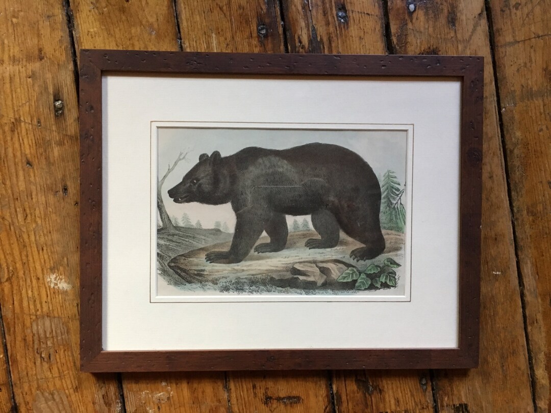 Framed C. 1863 BROWN BEAR Lithograph - Original Antique Print - Forest ...