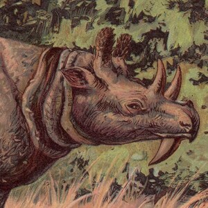 C. 1902 DINOCERAS Lithograph • Original Antique Print - Fossil Reptiles ...