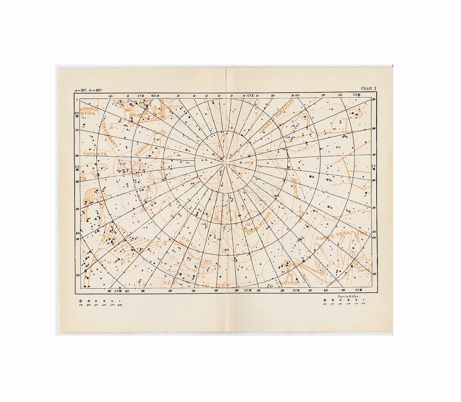 STAR CHART I C. 1908 • Original Antique Print • Celestial Constellation ...