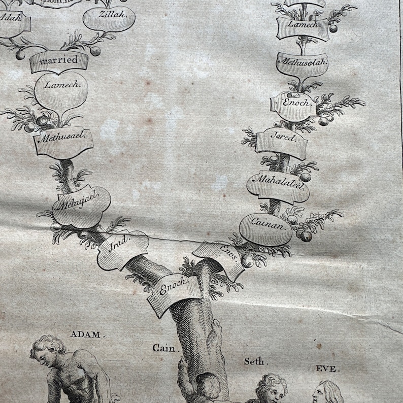 C. 1732 ADAM & EVE Family Tree Engraving • Original Antique Print ...