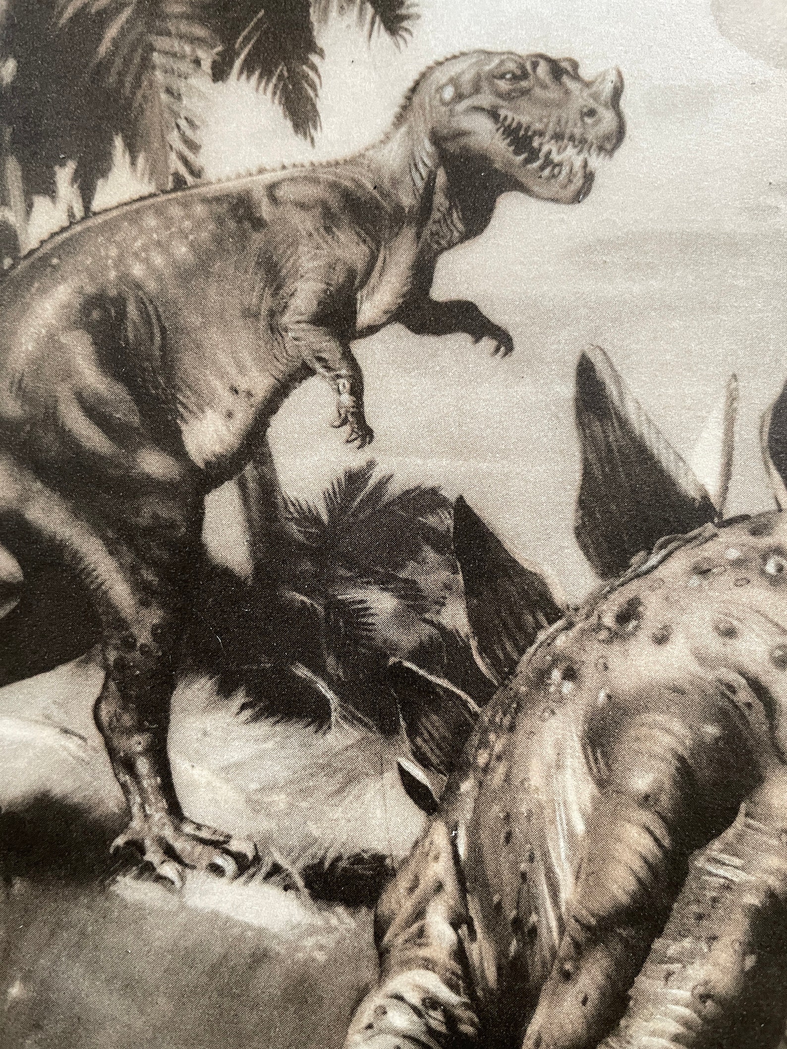 C. 1960 PREHISTORIC ANIMALS Lithograph • Original Vintage Print ...