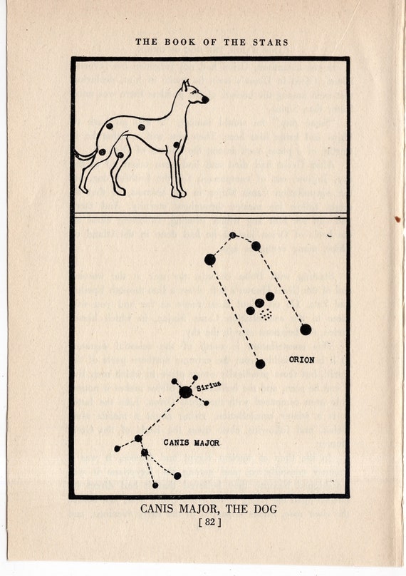 Canis Major Dog Constellation