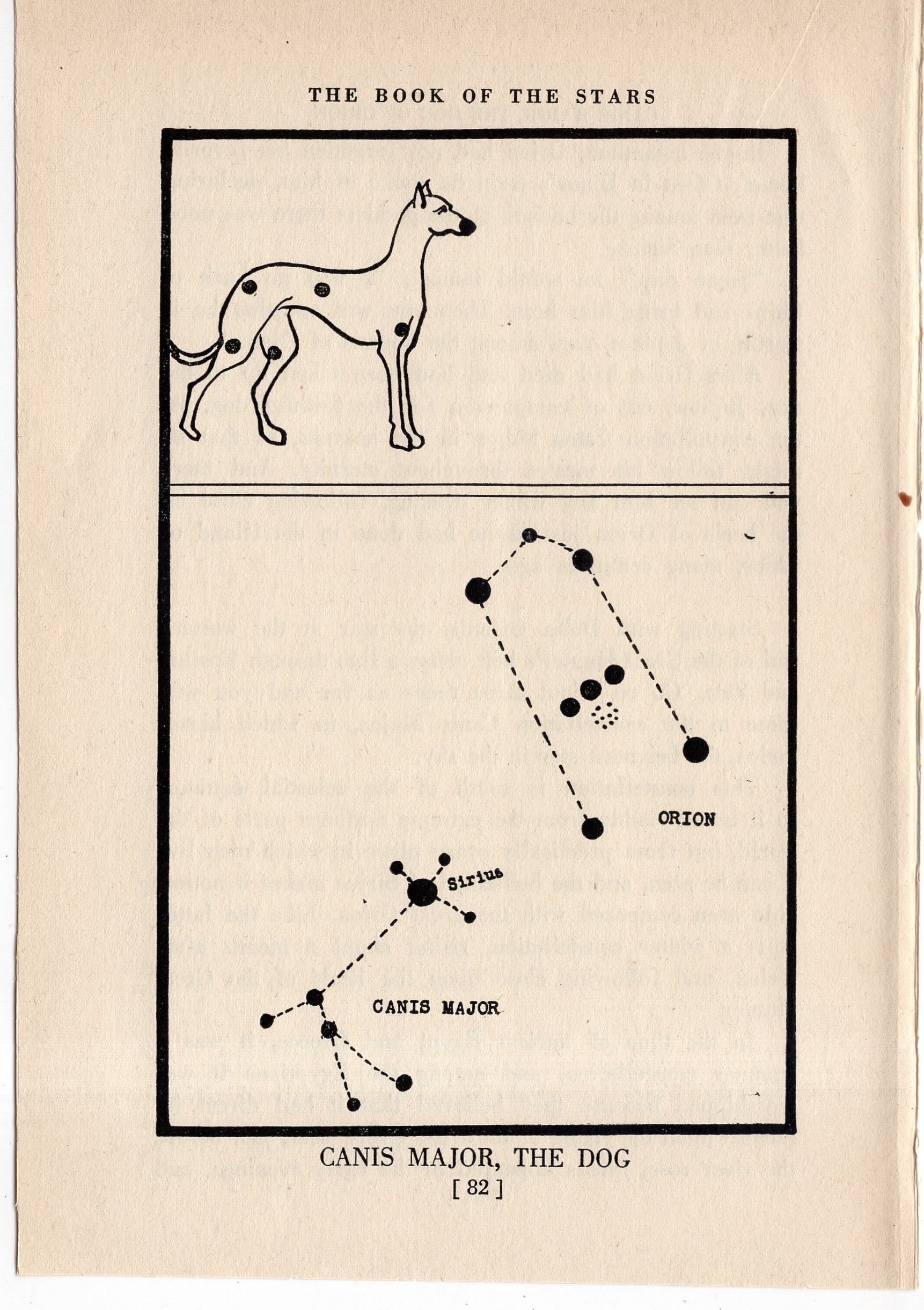 Canis Major Dog