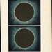 C. 1877 SOLAR ECLIPSE Print • Original Antique Print • Hand Colored Engraving • Astronomy Print ...