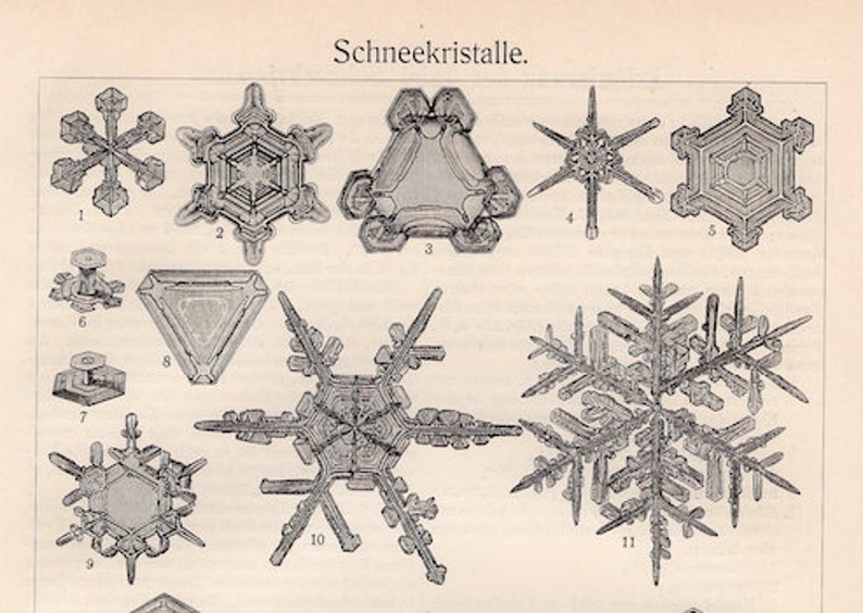 C. 1894 SNOW CRYSTALS Antique Print Original Antique Weather | Etsy