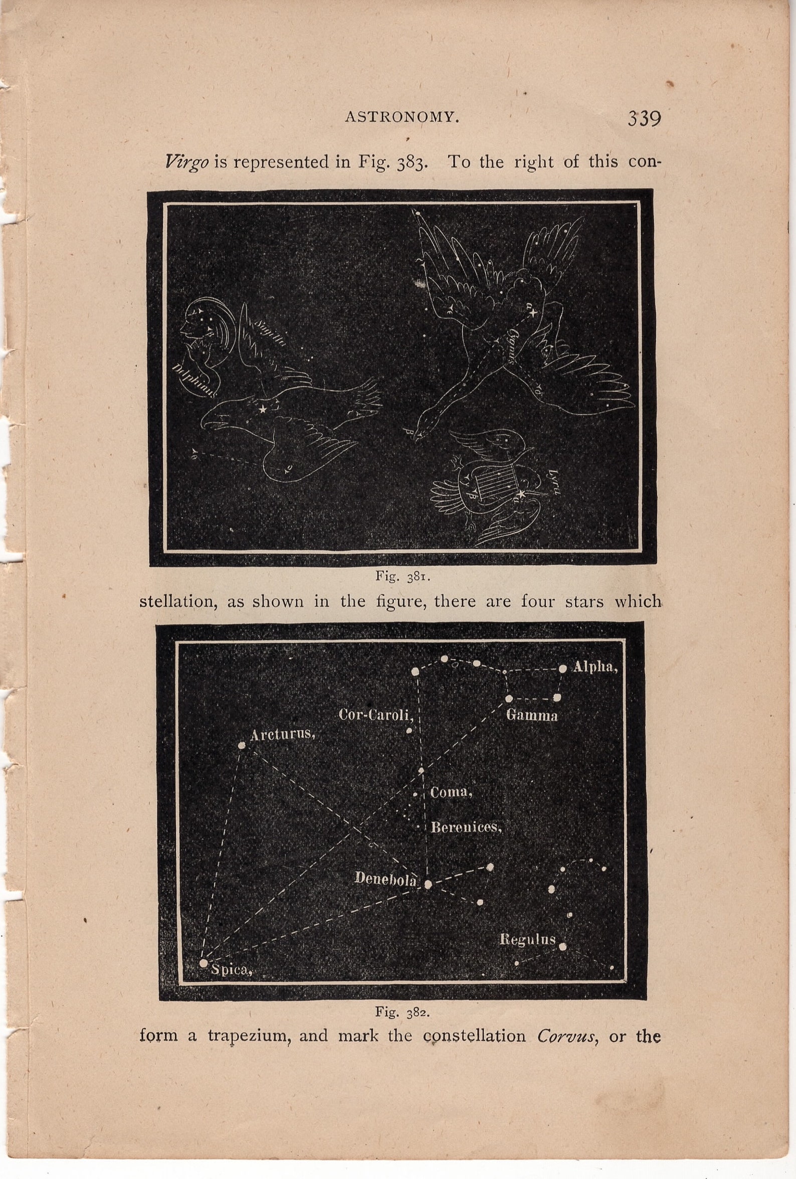 Antique Prints • CONSTELLATION FIGURES Set of 4 Prints C. 1884 ...