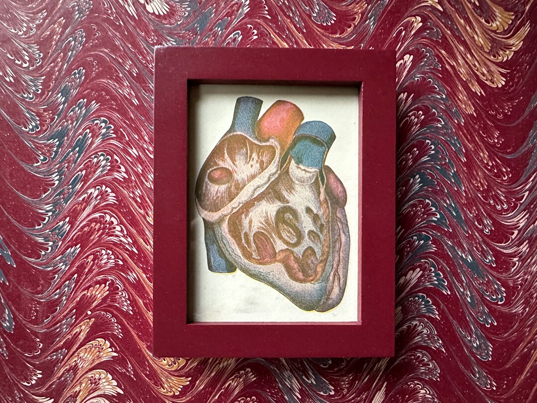 C. 1926 FRAMED HEART Lithograph • Original Antique Print • Human ...