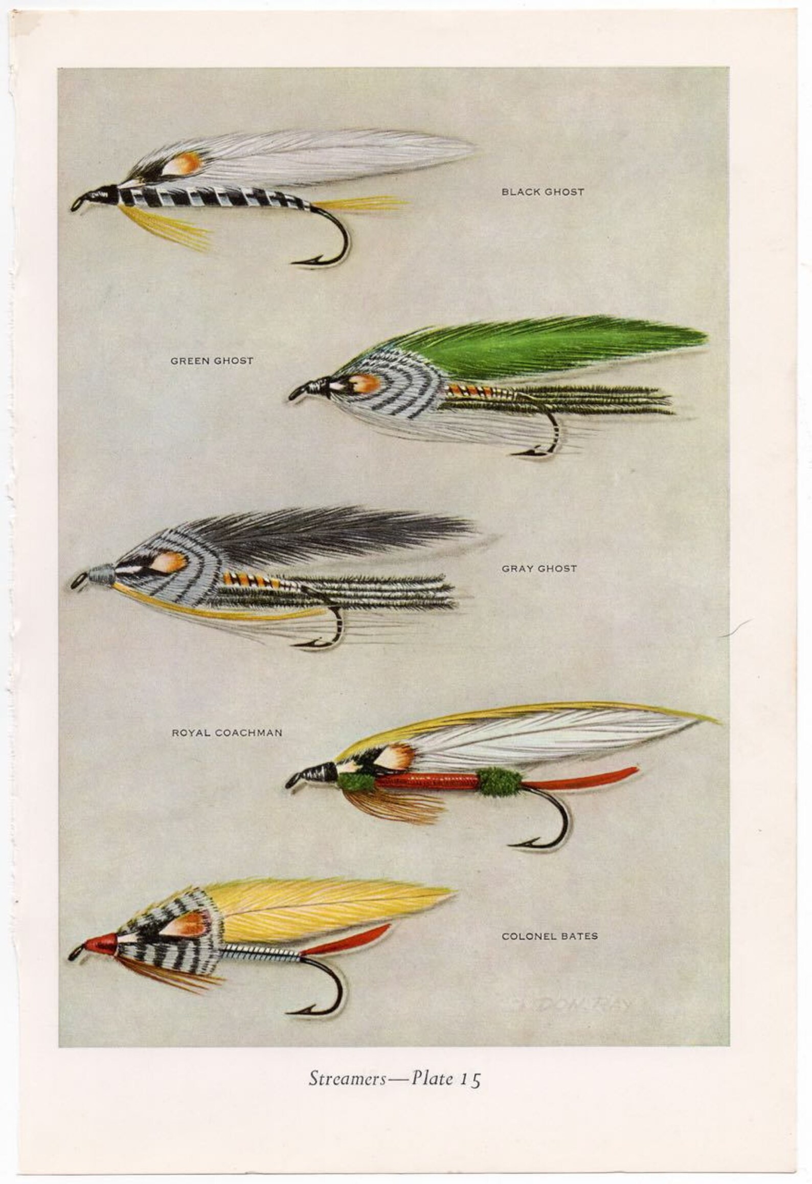 C. 1963 STREAMERS FLY FISHING Lithographs Original - Etsy