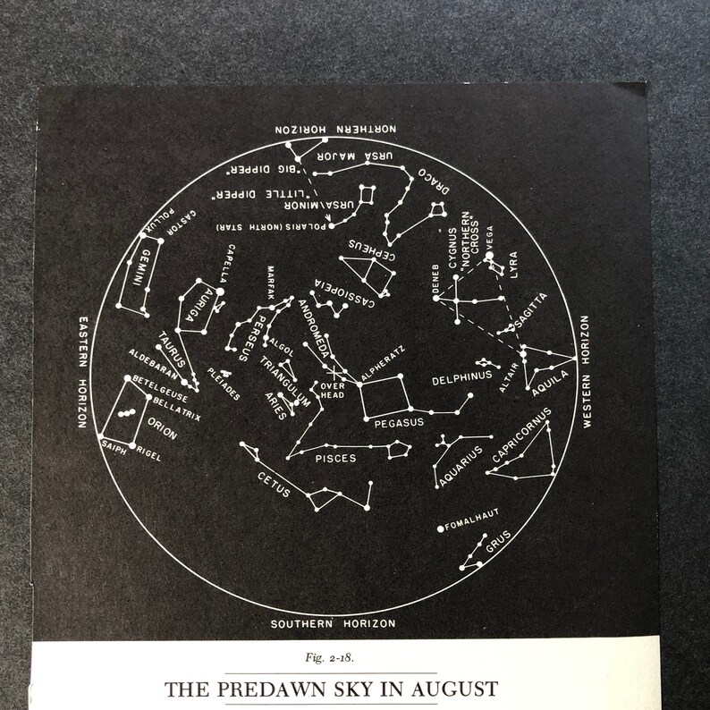C.1977 AUGUST STAR MAP celestial zodiac constellation print | Etsy
