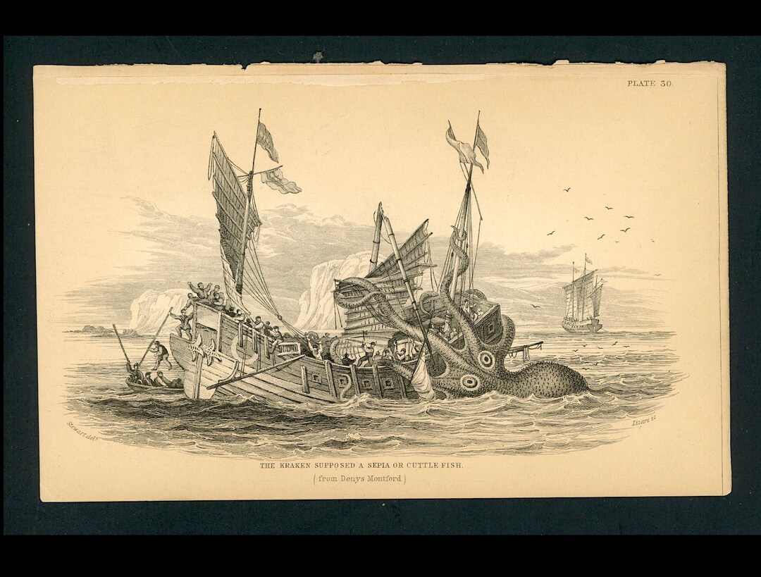 RARE C. 1839 THE KRAKEN Engraving Original Antique Print - Etsy