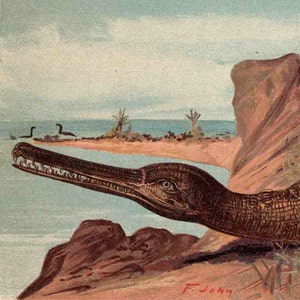 C. 1902 TELEOSAURUS MIRABILIS Lithograph • Original Antique Print ...