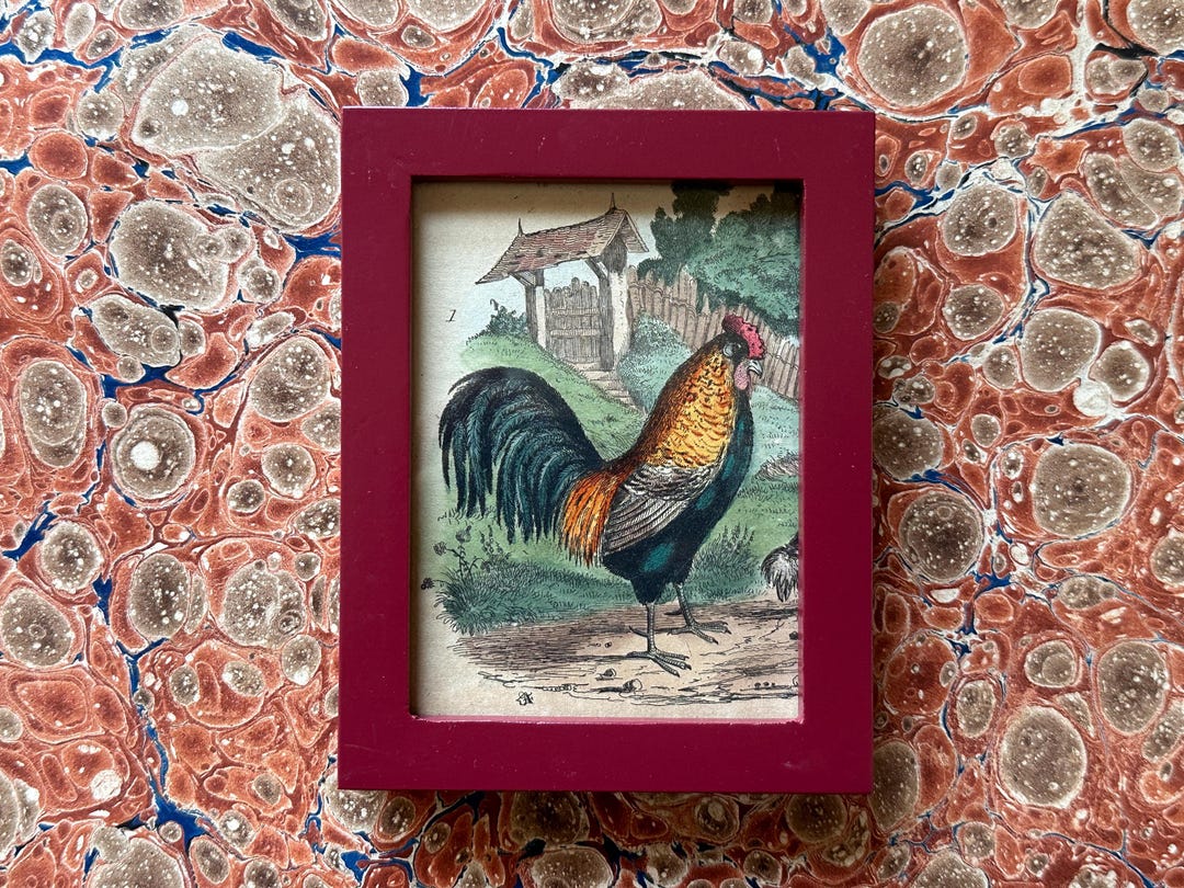 Framed C. 1835 ROOSTER Engraving • Original Antique Print • Poultry ...