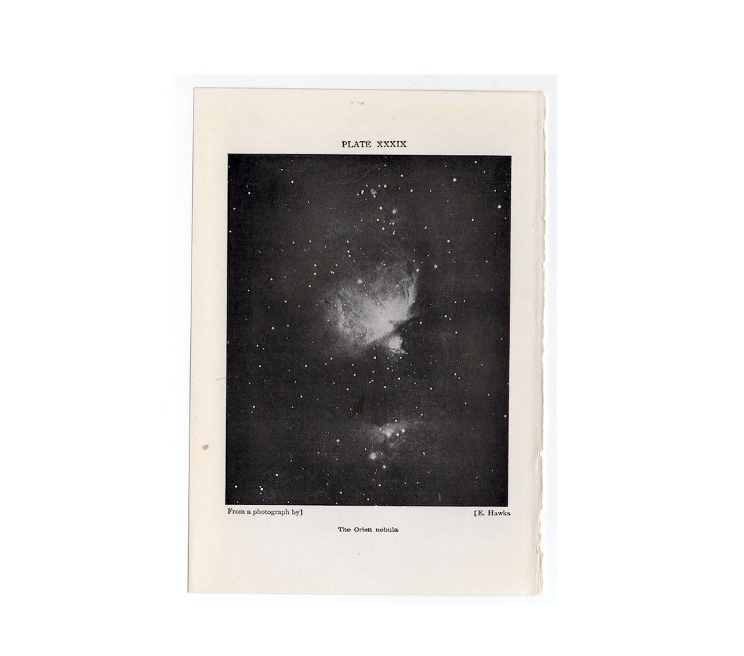 C. 1911 ORION NEBULA Lithograph • Original Antique Print • Astronomy ...
