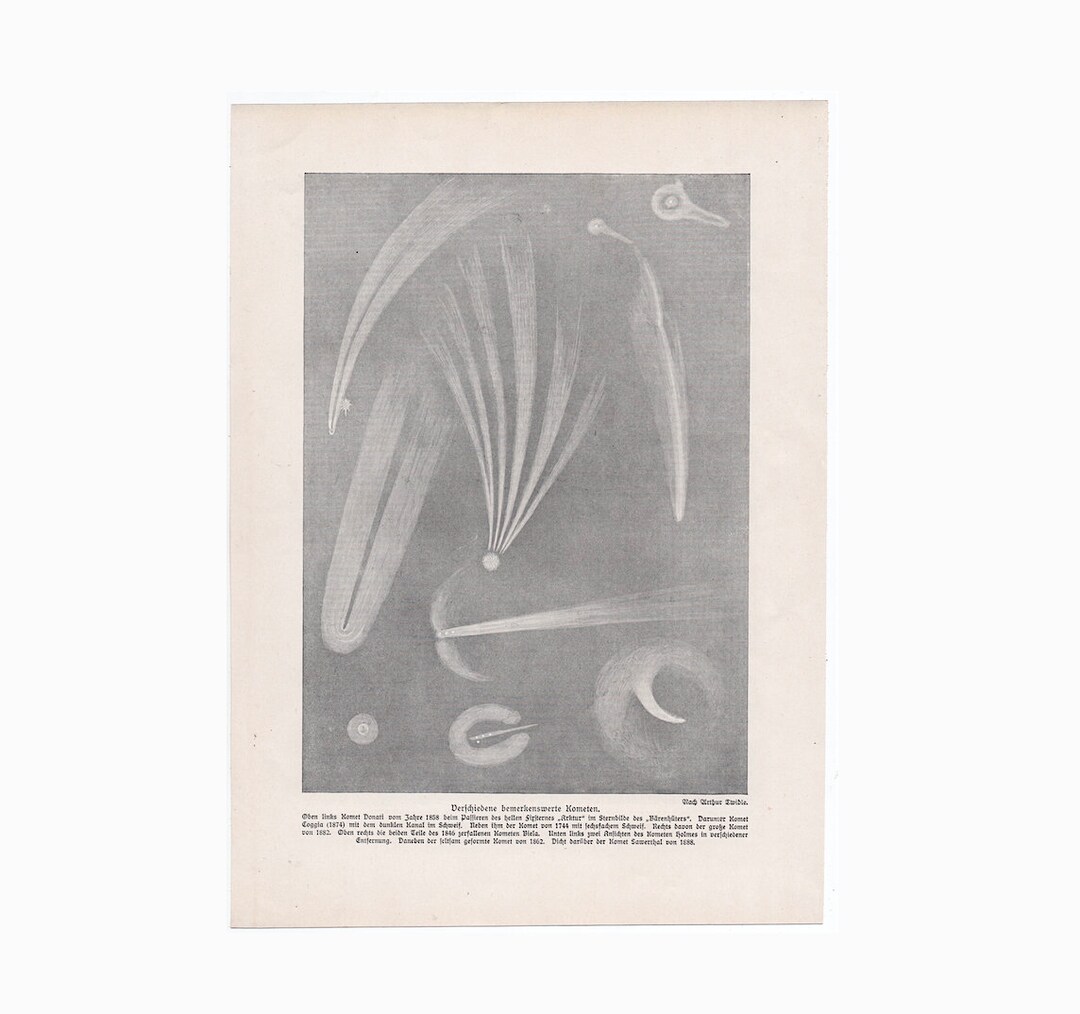 C. 1900 FAMOUS COMETS Lithograph • Original Antique Print • Astronomy ...