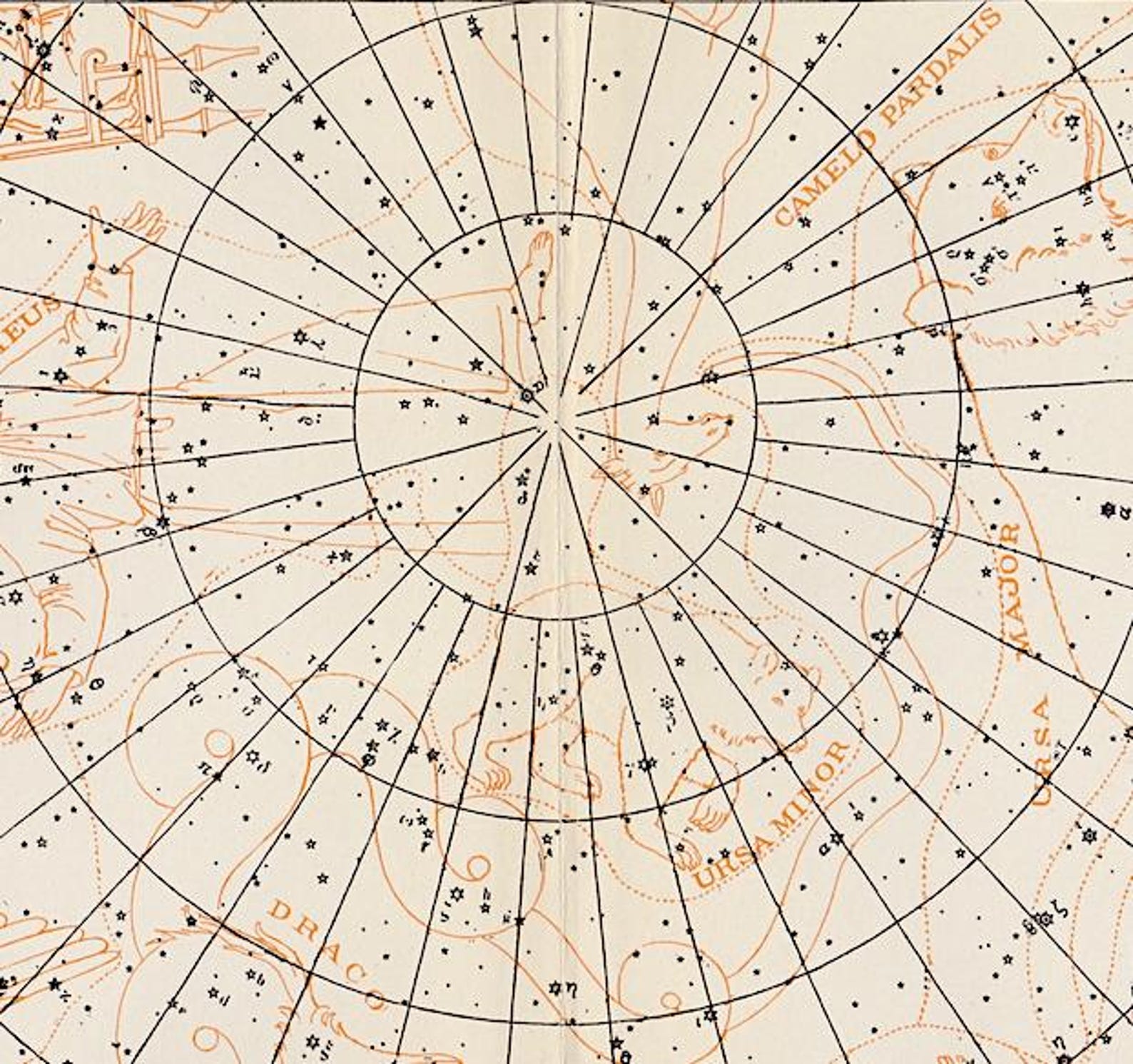 STAR CHART I C. 1908 • Original Antique Print • Celestial Constellation ...