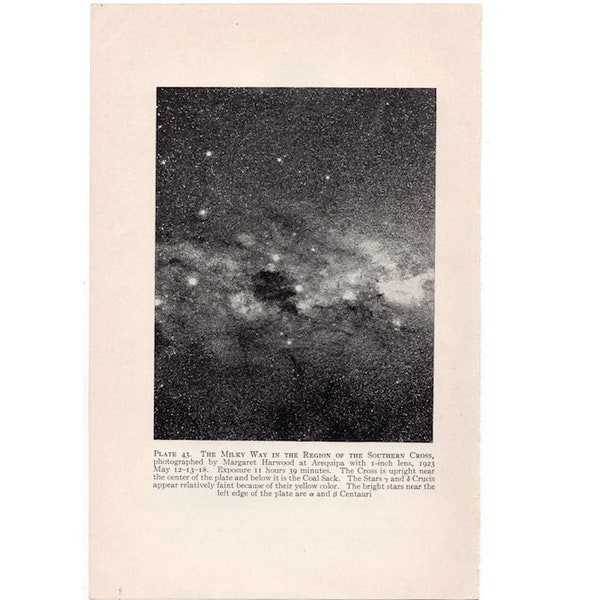 Southern Cross - Etsy