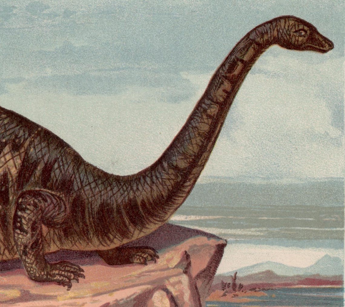 C. 1902 DINOSAUR Lithograph - Brontosaurus - Rare Original Antique ...