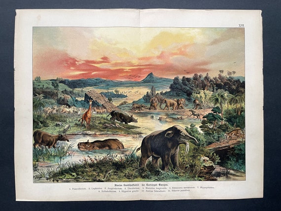 Tertiary Period Plants And Animals