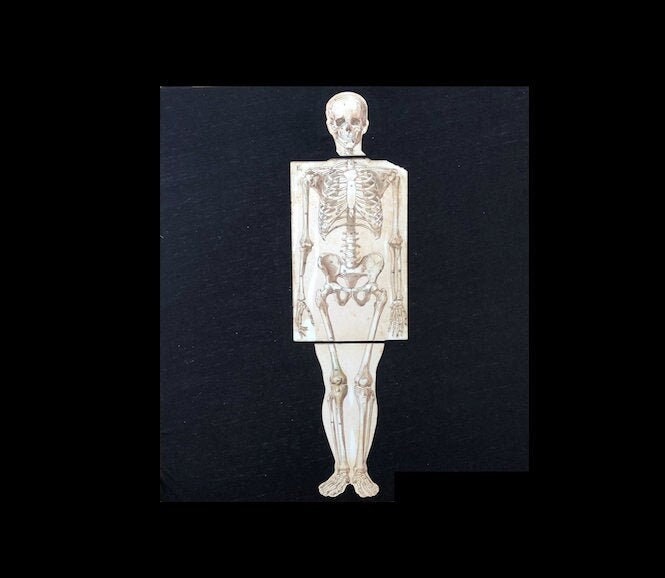 C. 1902 SKELETON ANATOMY Print - 3D Interactive Medical Illustration ...