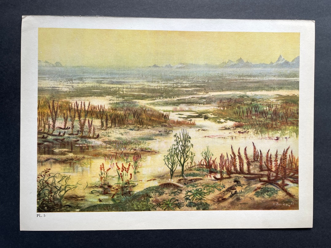 C. 1960 LOWER DEVONIAN LANDSCAPE Lithograph • Original Vintage Print ...