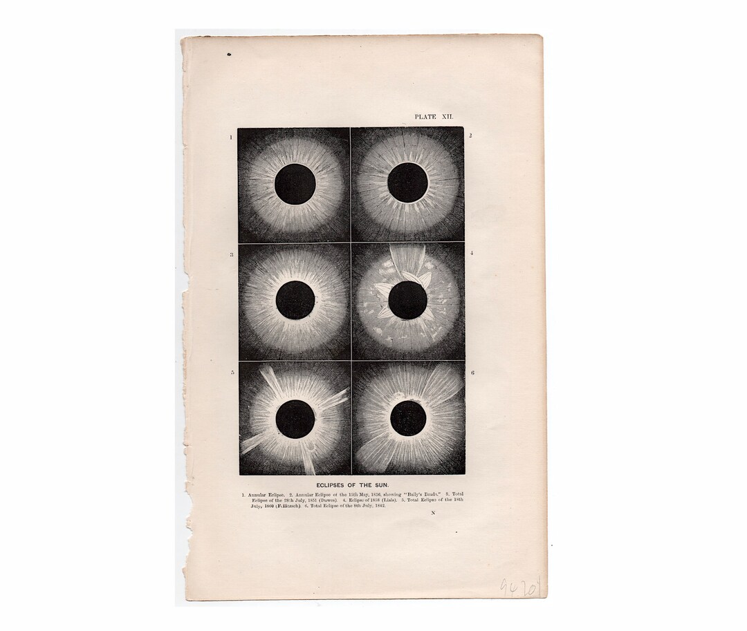 C. 1866 SOLAR ECLIPSES Lithograph • Original Antique Print • Astronomy ...