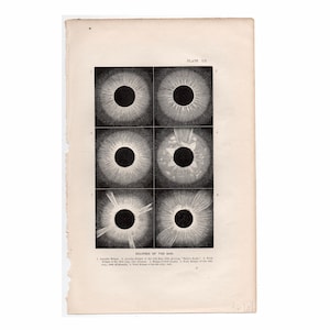 C. 1866 SOLAR ECLIPSES Lithograph • Original Antique Print • Astronomy ...
