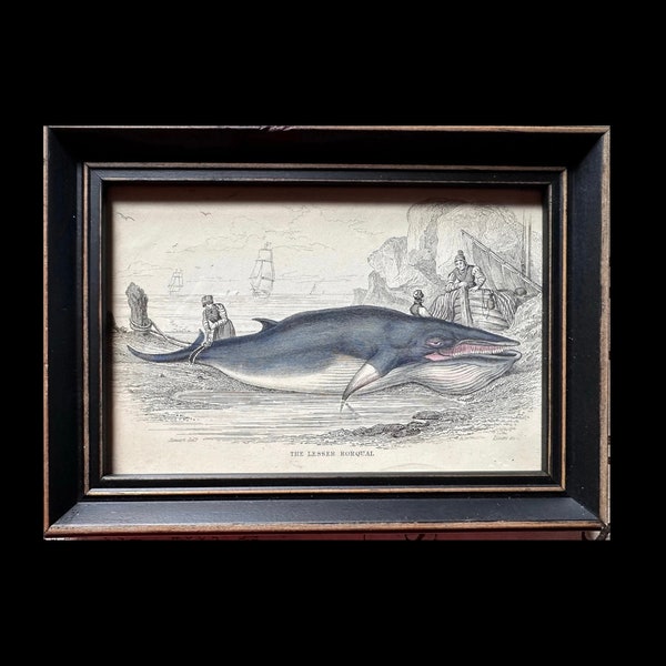 Whaling - Etsy