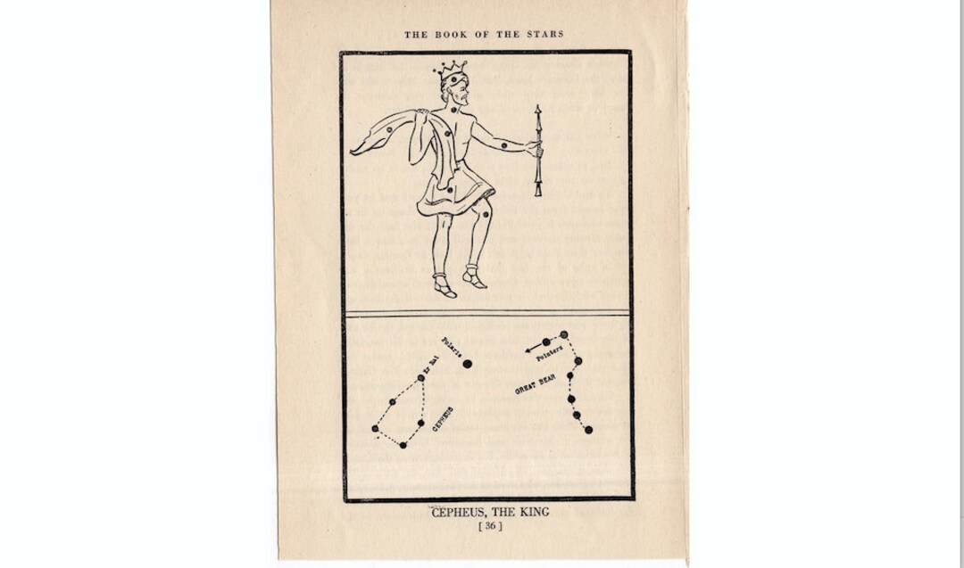 C. 1944 Cephus - CONSTELLATION FIGURE PRINT - Original Vintage ...