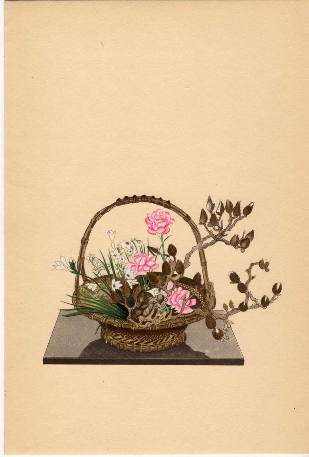 C. 1935 IKEBANA BOTANICAL Lithograph • Original Vintage Print ...