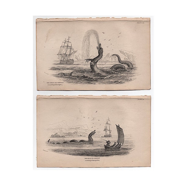 Sea Monster Print - Etsy