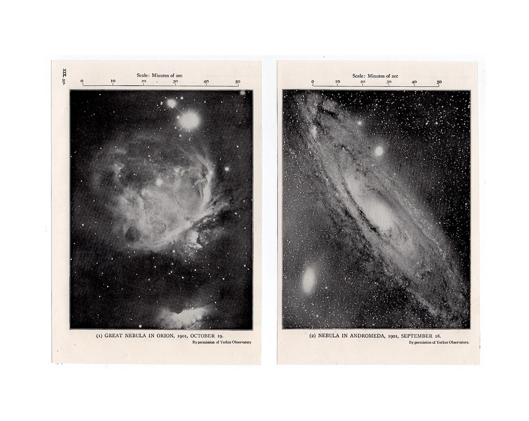 C. 1910 ORION & ANDROMEDA • Set of 2 Original Antique Prints ...