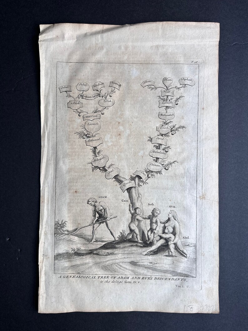 C. 1732 ADAM & EVE Family Tree Engraving • Original Antique Print ...