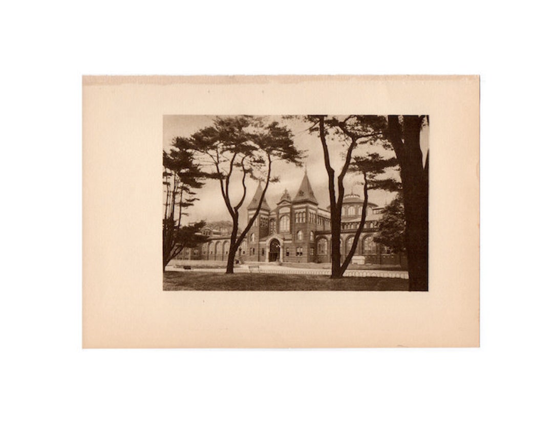 C. 1934 - SMITHSONIAN MUSEUM BUILDING Lithograph - Vintage Museum Print ...
