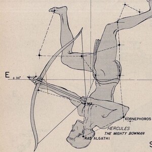 CONSTELLATION FIGURES C. 1946 • Original Vintage Celestial Astronomy ...