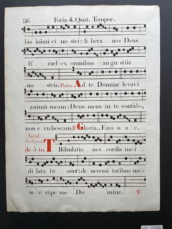 Partituras De Canto Gregoriano Stream Regina Caeli (solene) By