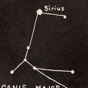C. 1918 CANIS MAJOR CONSTELLATION Print • Original Antique Print ...