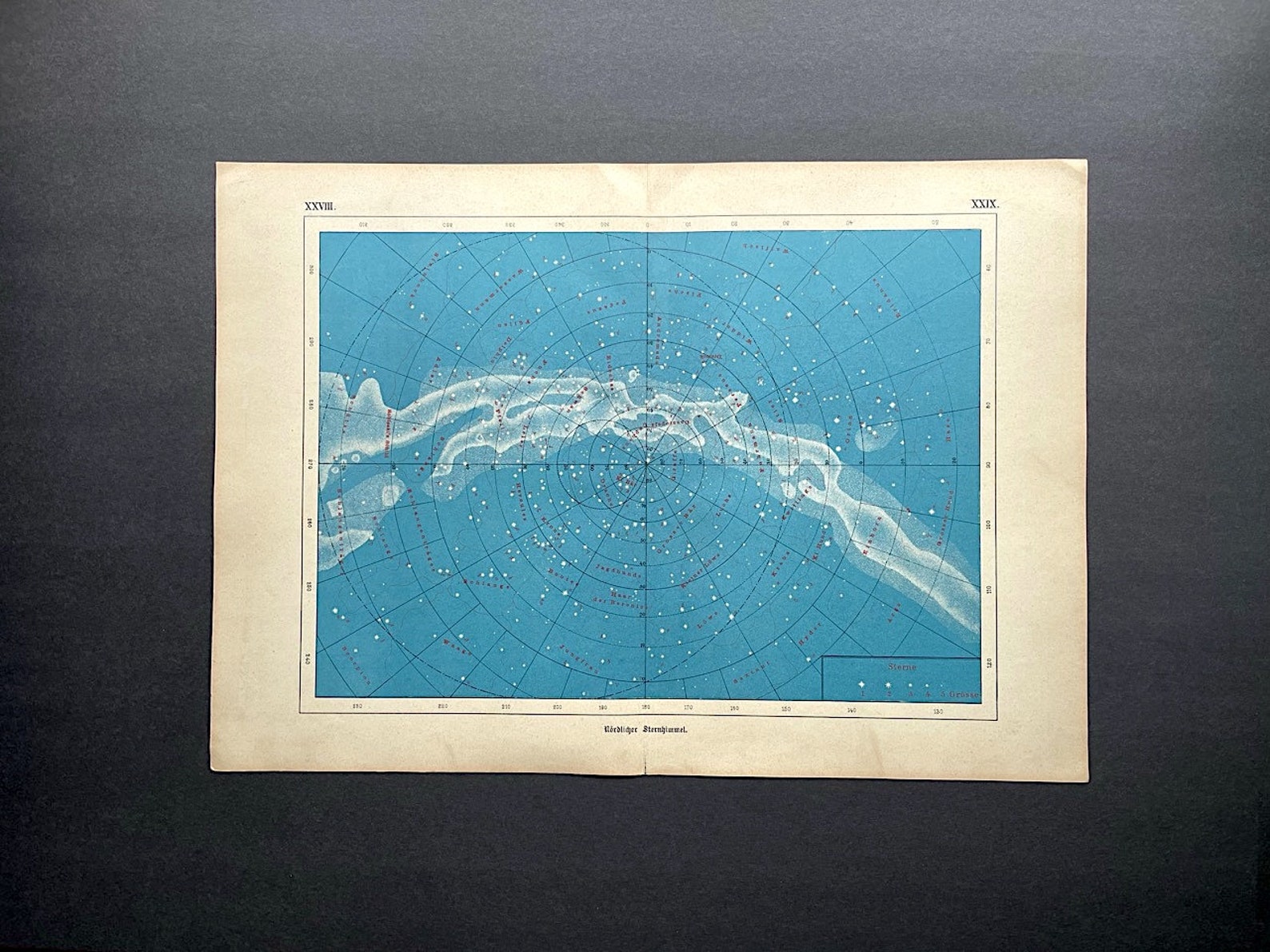 LARGE C. 1892 NORTHERN SKY Print • Original Antique Print • Astronomy ...