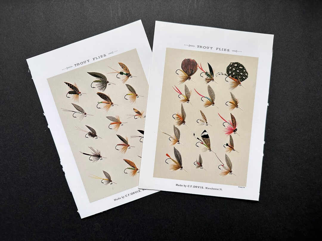 C. 1988 TROUT FLIES Lithographs • Set of 2 Original Vintage Prints ...