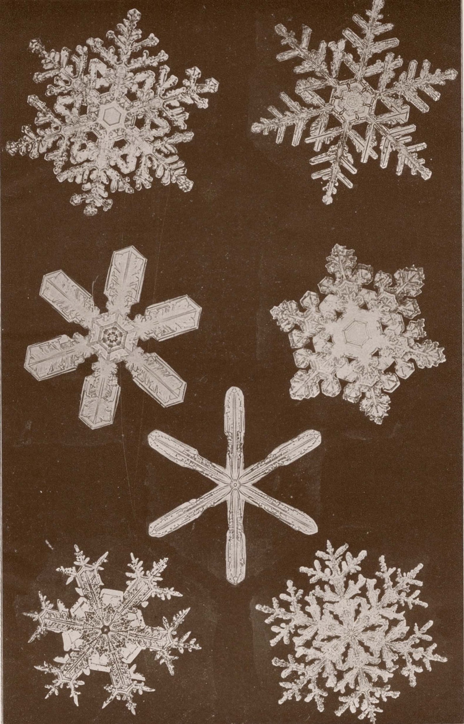 C. 1911 SNOW CRYSTALS Print Original Antique Winter Weather Lithograph ...