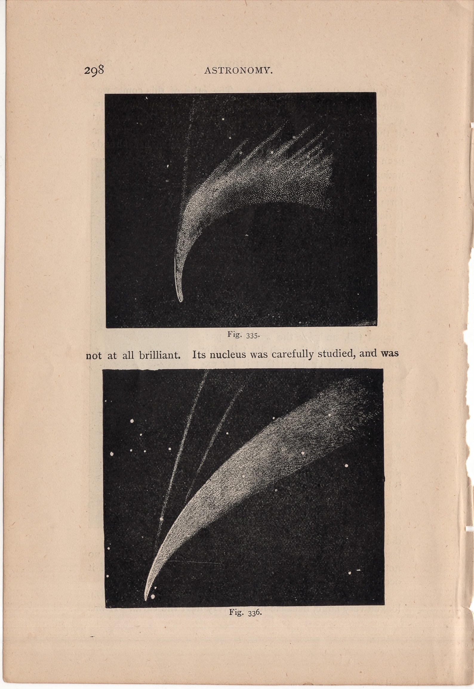 Antique Print Comets PRINT C. 1882 Original Antique | Etsy