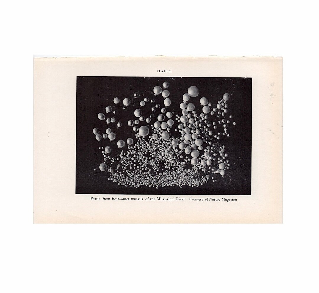 C. 1934 PEARLS Lithograph - Original Vintage Print - Ocean Print - Sea ...