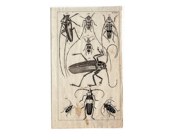 This item is unavailable | Etsy