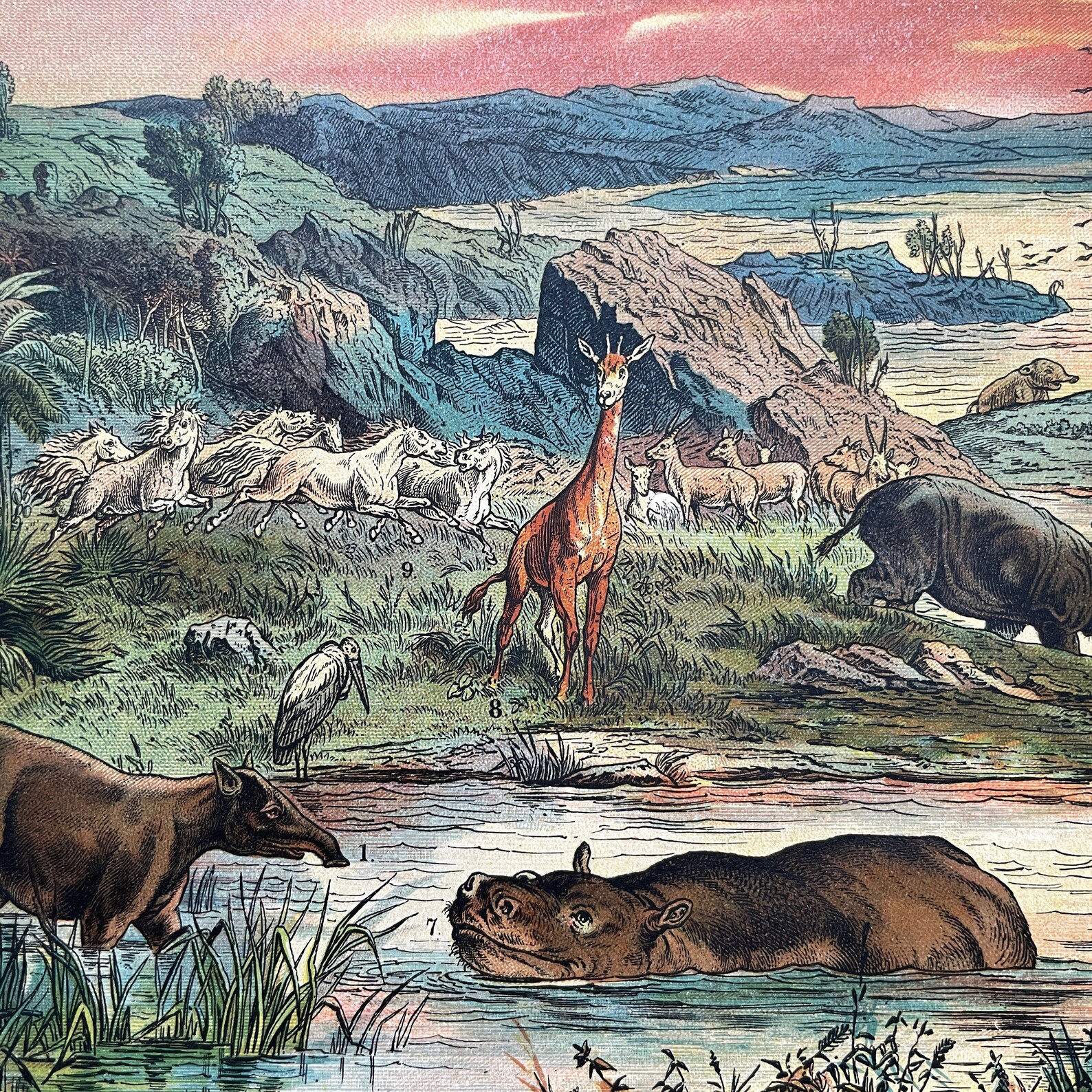 C.1878 LARGE PREHISTORIC LANDSCAPE • Original Antique Print • Dinosaur ...