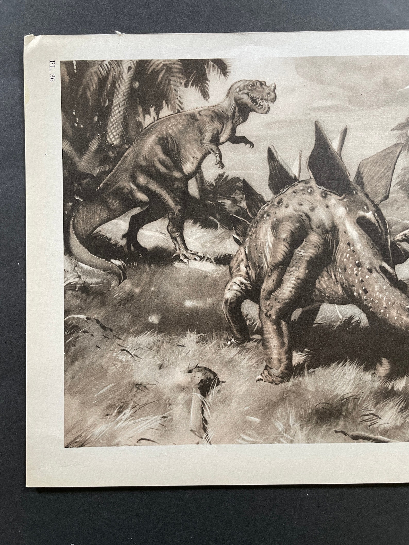 C. 1960 PREHISTORIC ANIMALS Lithograph • Original Vintage Print ...