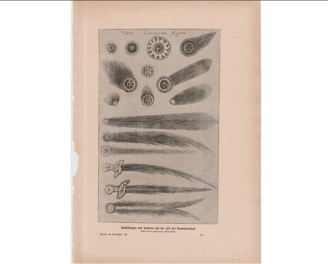 C. 1900 COMET HEADS Lithograph • Original Antique Print • Celestial ...