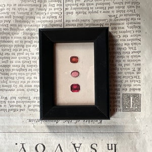 Tiny! FRAMED GEM STONE Lithograph C. 1878 • Original Antique Print ...
