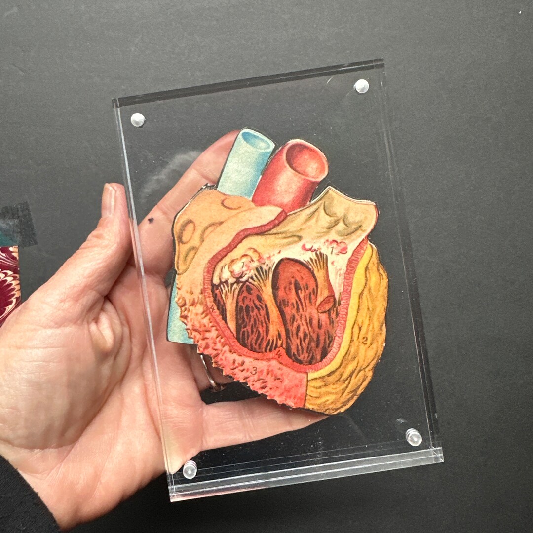 C. 1929 FRAMED HEART Lithograph • Original Antique Print • Human ...