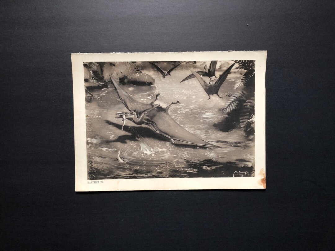 C. 1940 PREHISTORIC SCENE Lithograph - Original Vintage Print - Extinct ...