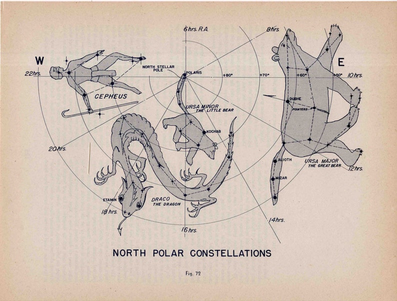 C. 1946 CONSTELLATION FIGURES Original Vintage Celestial - Etsy