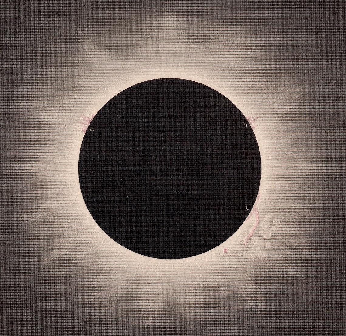C. 1856 TOTAL SOLAR ECLIPSE Lithograph - Antique Astronomy Print ...